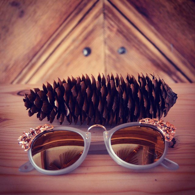 THE STORY OF ONE SPRUCE CLONE - Narrations - Art - MASSADAeyewear